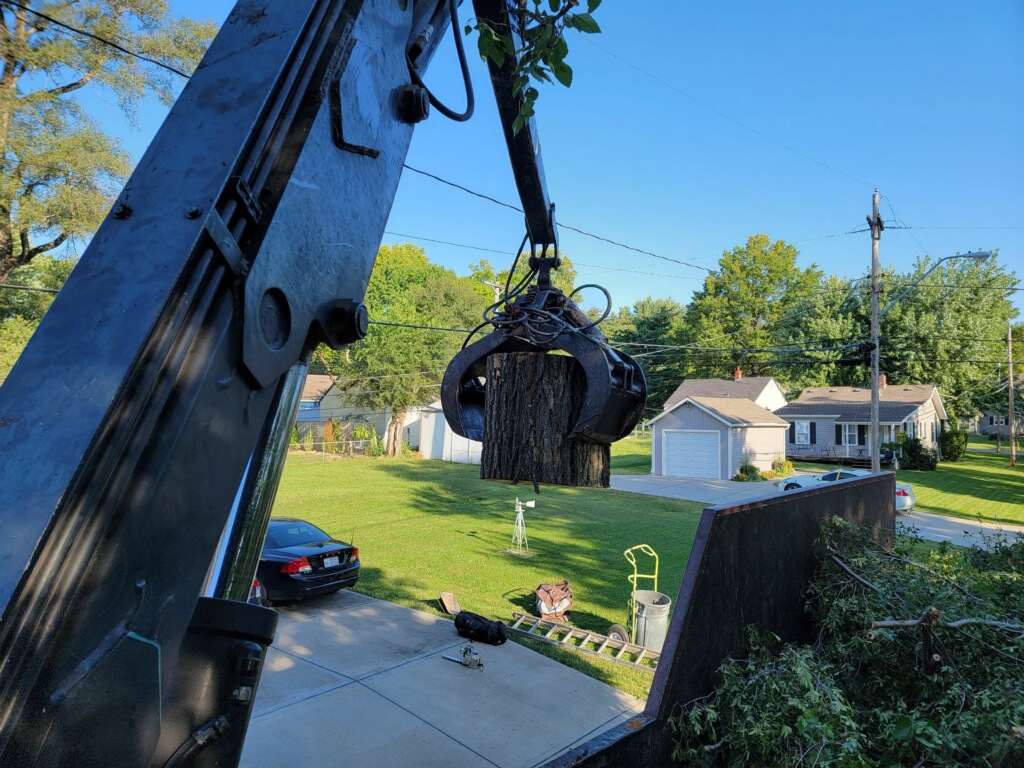 Gallery | KC Tree Specialist